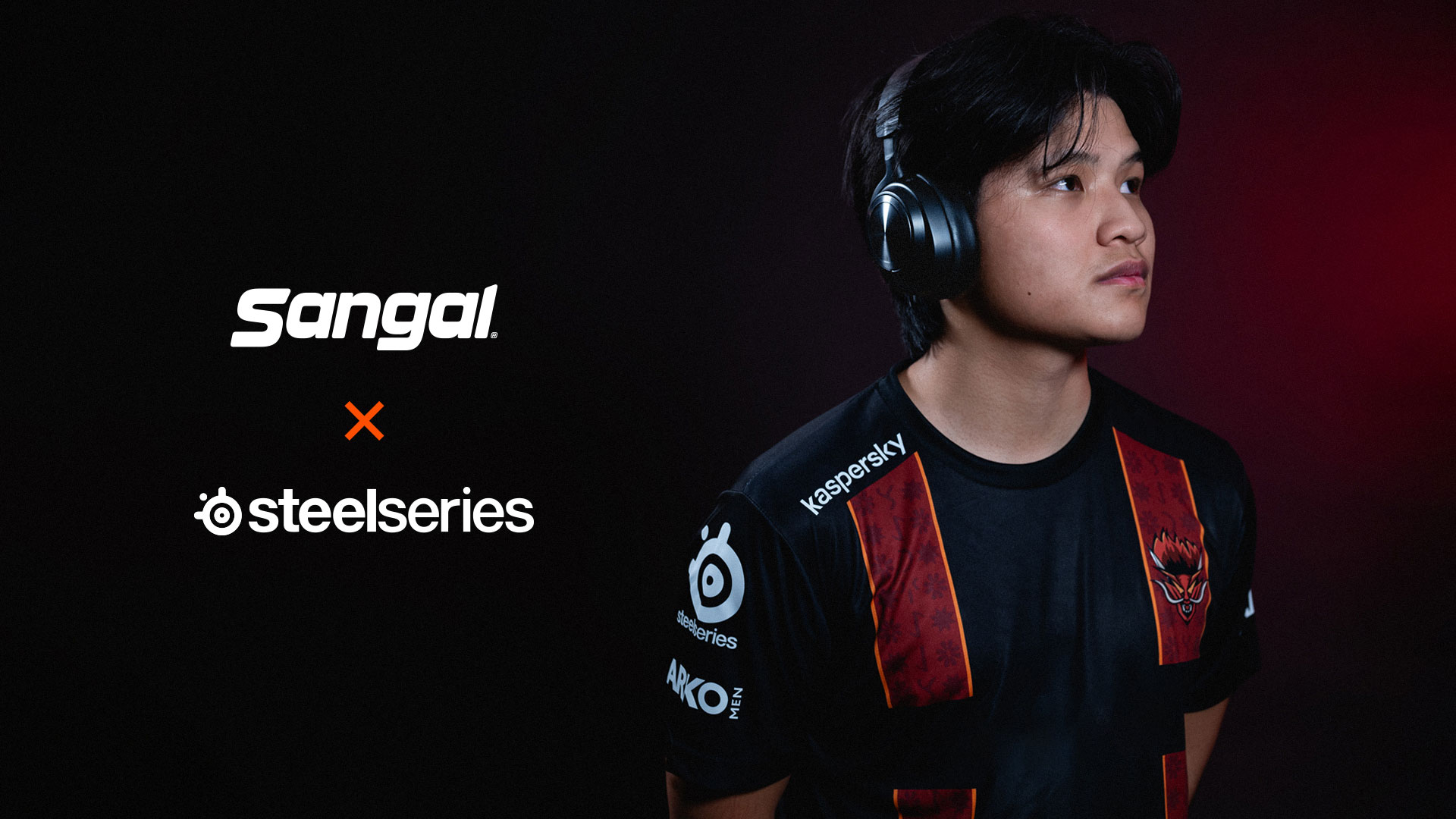 Sangal and SteelSeries join forces! – Sangal