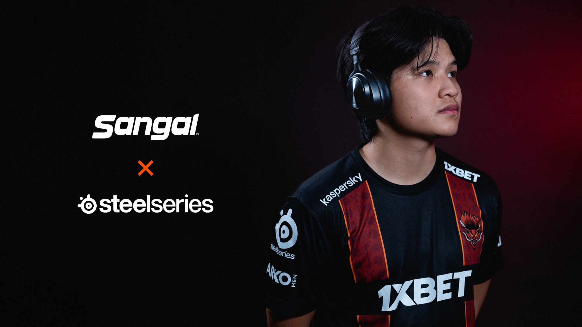 Sangal and SteelSeries join forces! – Sangal